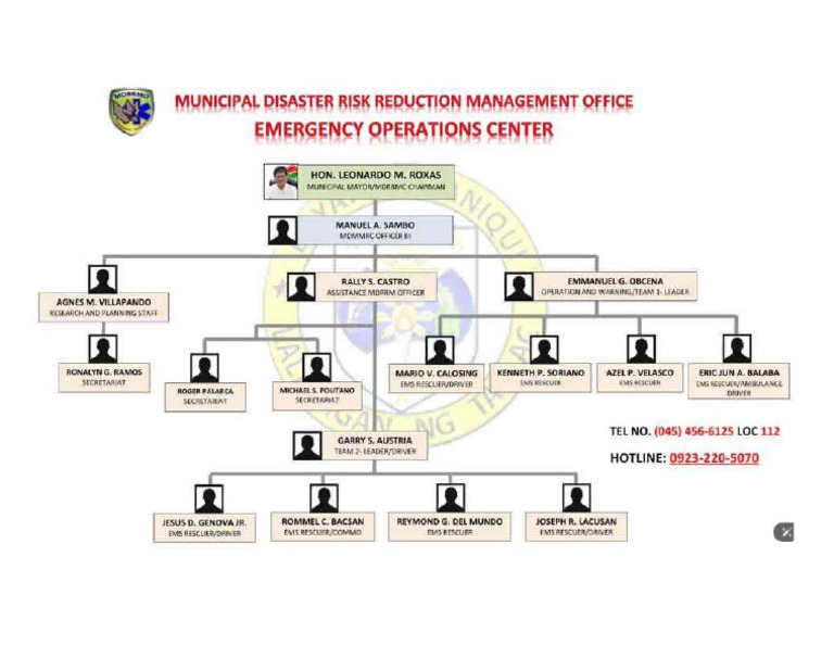 DRRM Organization Chart | PDF