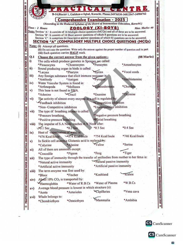 PDF Xi PC All Subjects | PDF