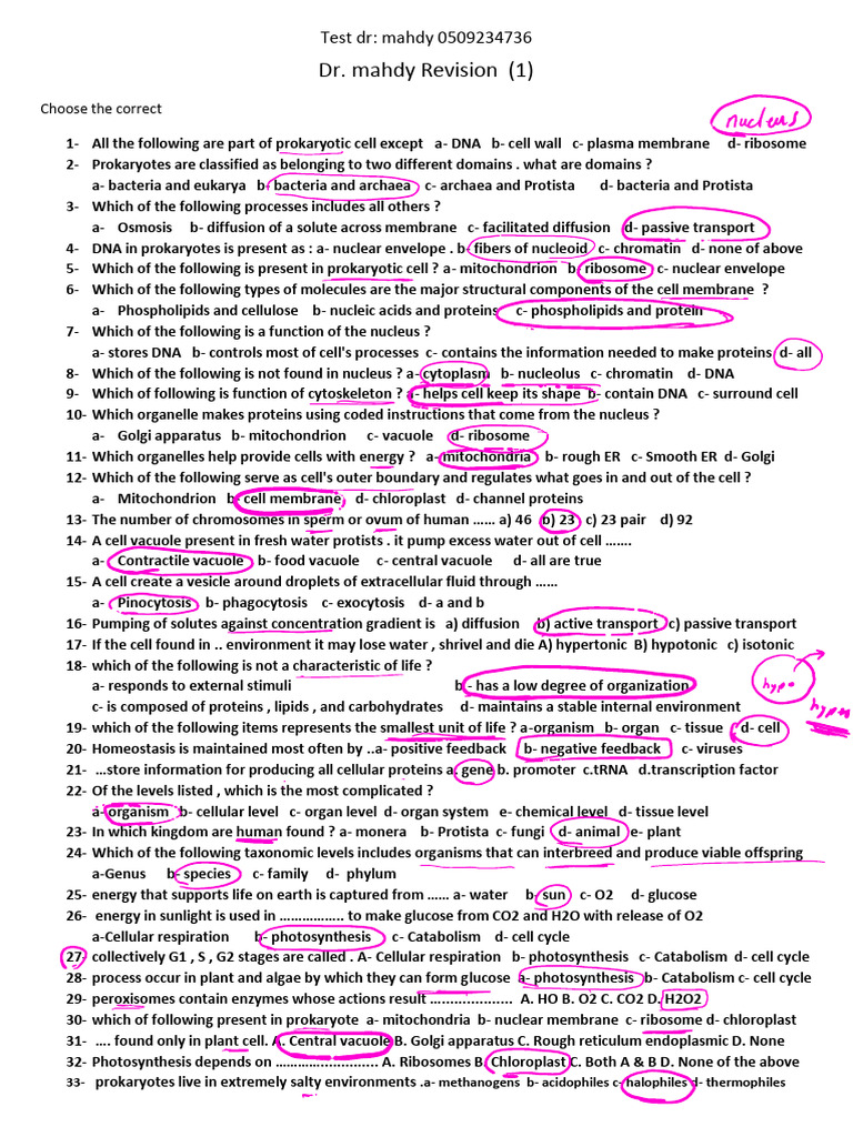 Prokaryotic Cell Biology Quiz Questions | PDF | Cell (Biology ...