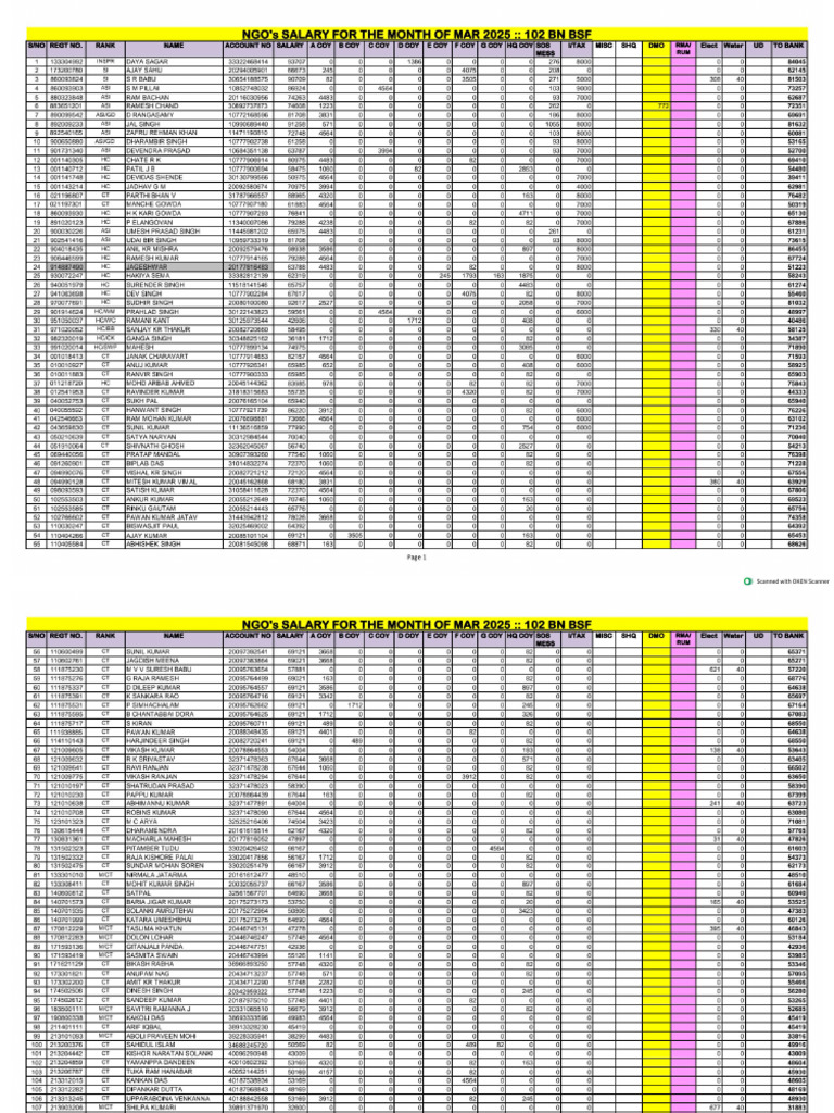 Ngos Salary Mar 2025 (Summary) | PDF