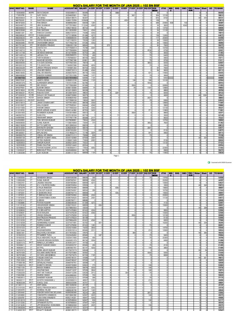 Ngos Salary Jan 2025 | PDF
