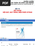 QUY ĐỊNH TỰ KIỂM TRA ATLD | PDF