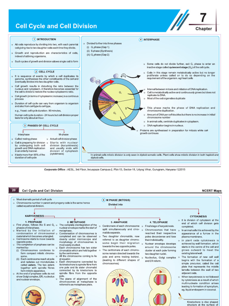 NCERT Maps Class XI Botany Chap 7 Cell Cycle and Cell Division | PDF