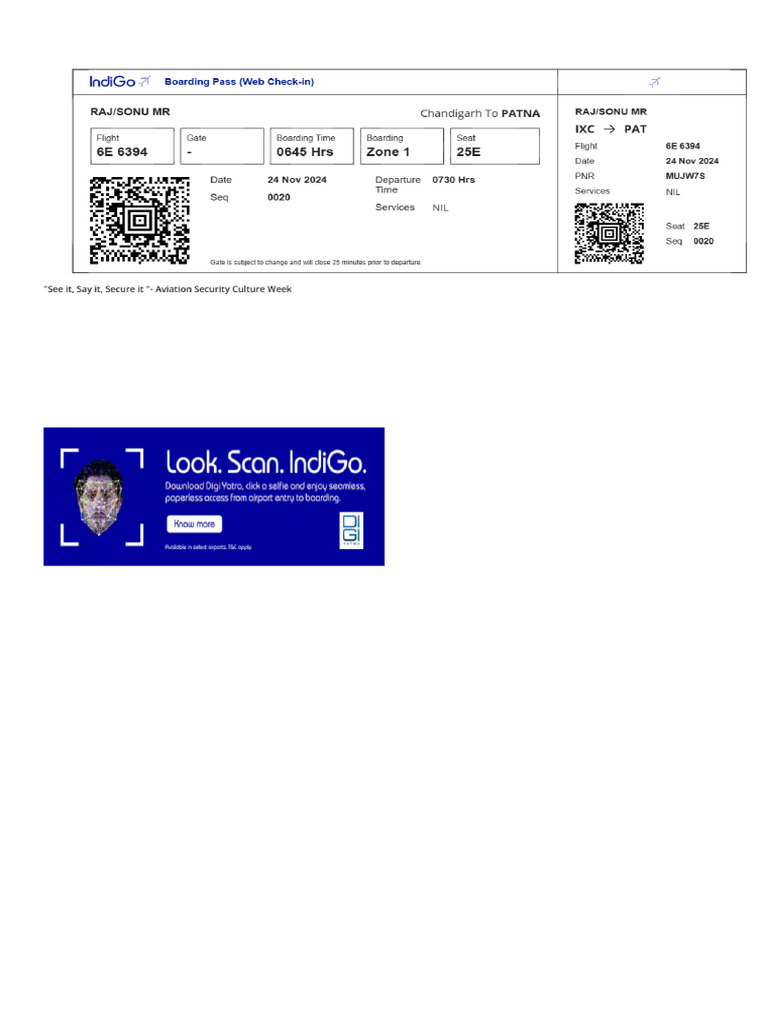 Boarding Pass | PDF