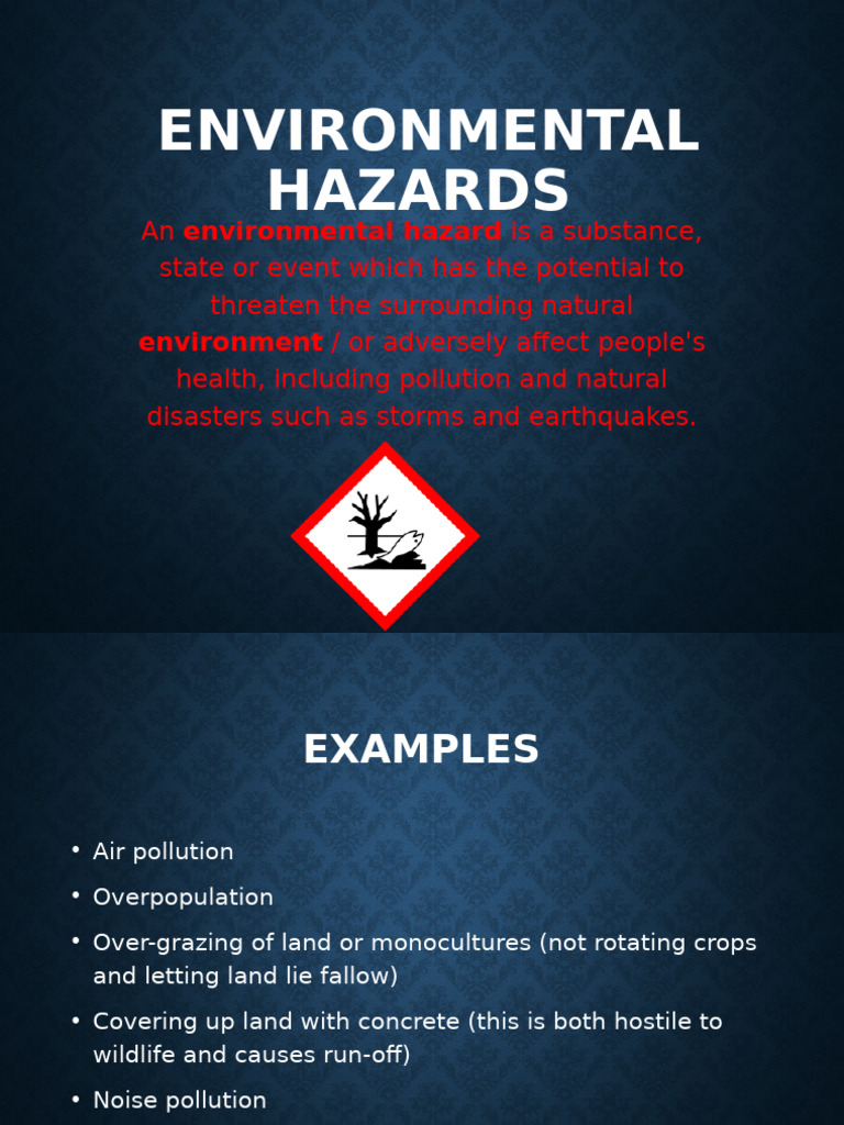 Understanding Environmental Hazards | PDF | Emergency Management | Hazards