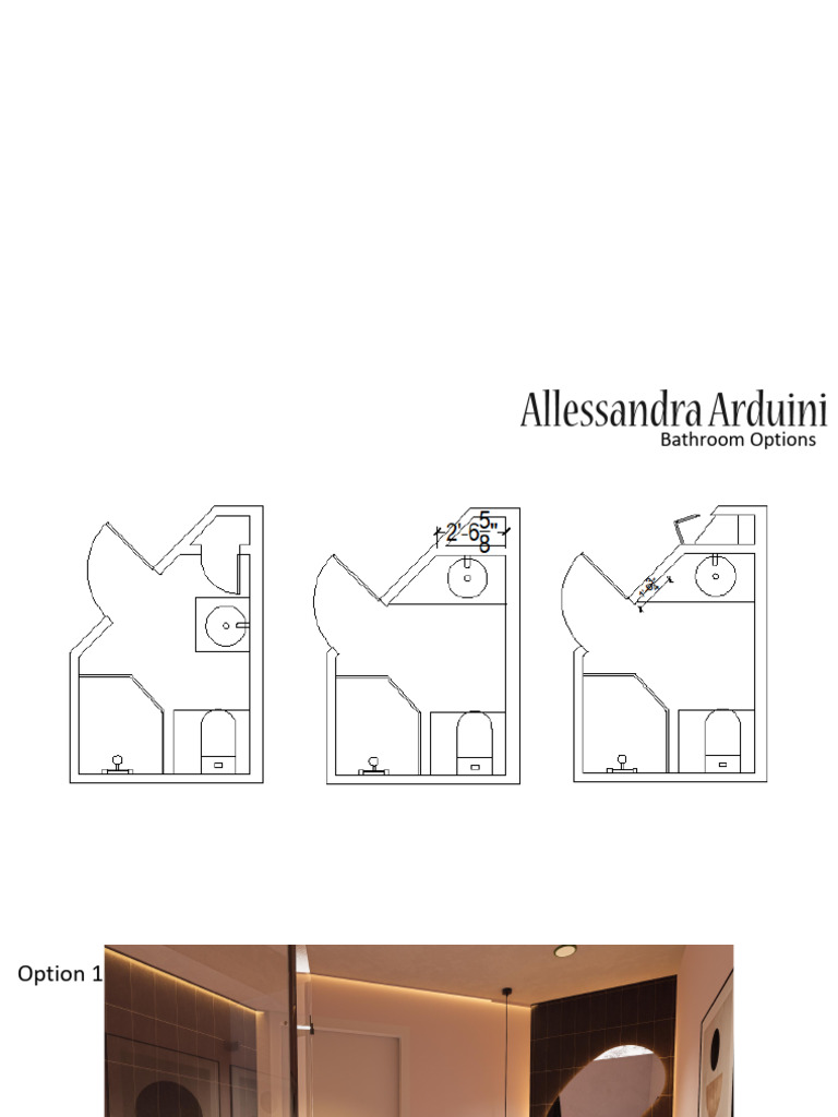 Allessandra Arduini | PDF