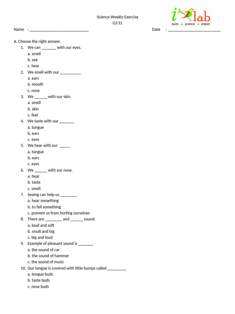 Understanding Our Five Senses Worksheet | PDF | Senses | Taste