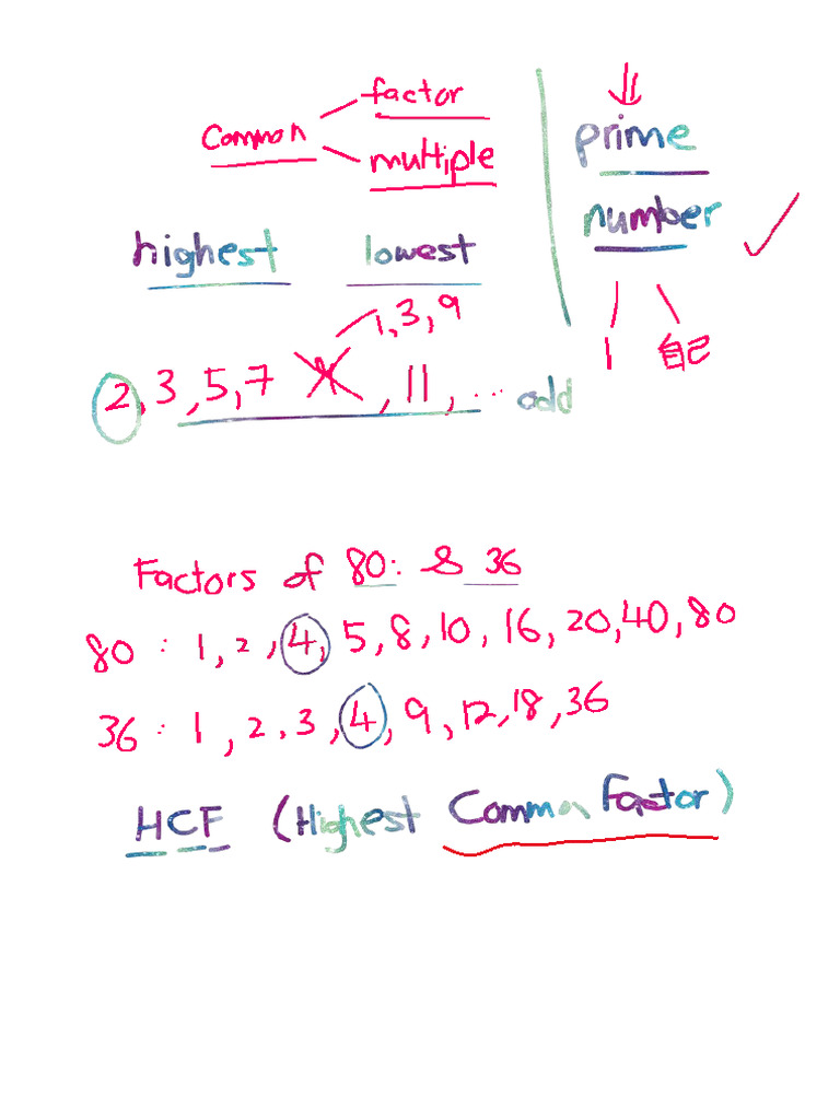 HCF LCM Prime Numbers Notes | PDF