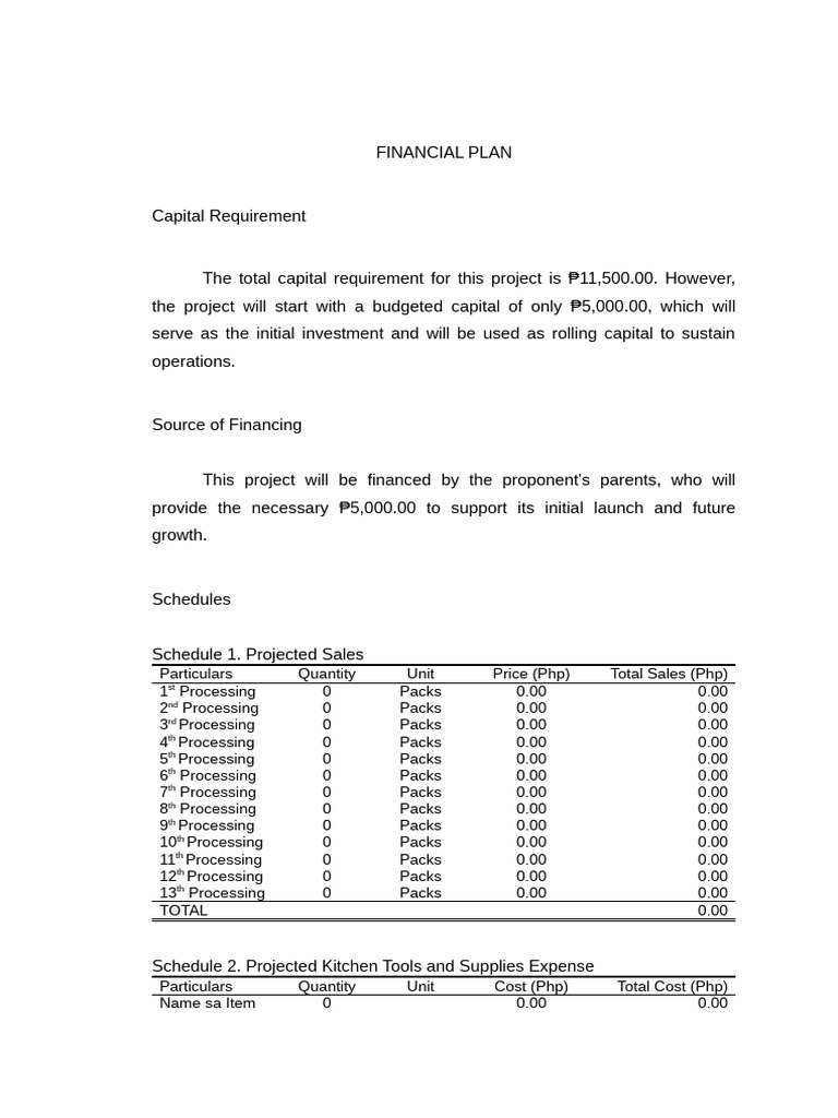 FINANCIAL PLAN Template | PDF | Equity (Finance) | Balance Sheet
