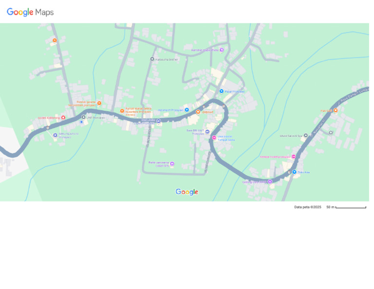 Google Maps | PDF