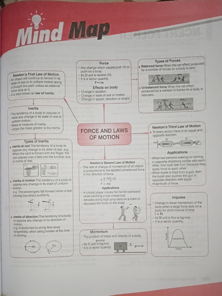 Understanding Forces and Motion | PDF | Force | Momentum