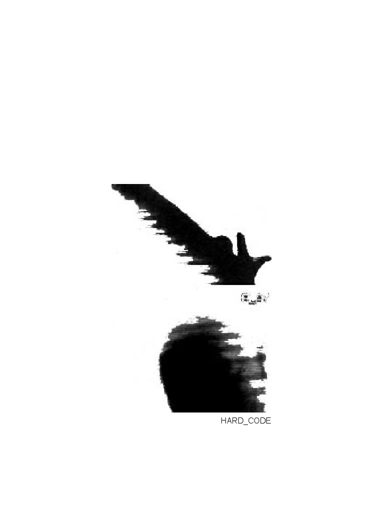 Hard Code | PDF | Aesthetics | Perception
