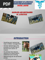 Canine Restraint SOP Guide | PDF