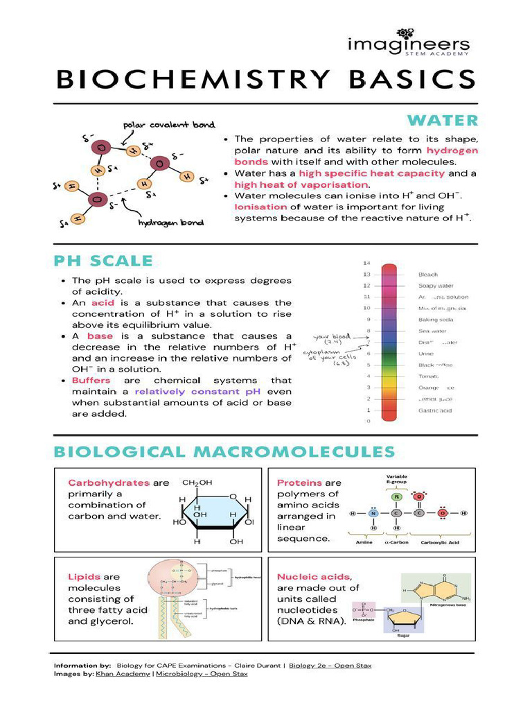Biochemistry Resources, Biochemistry Notes and | PDF