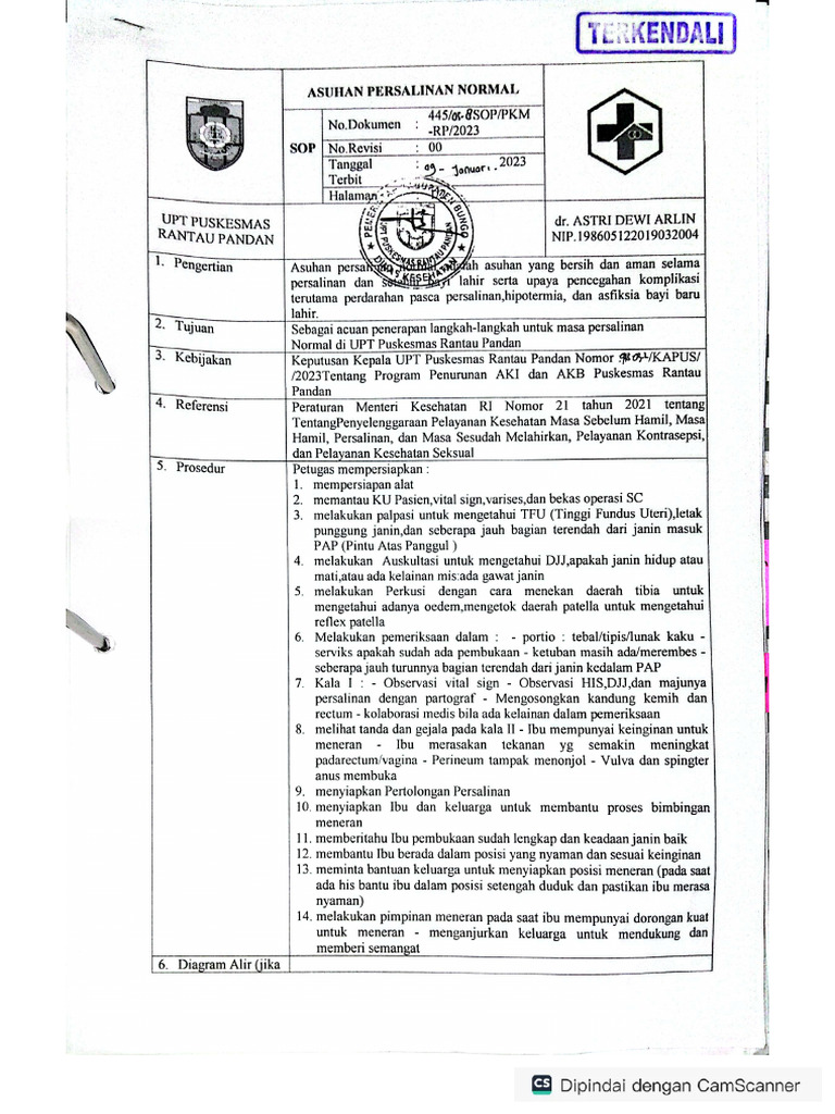 SOP Asuhan Persalinan Normal | PDF