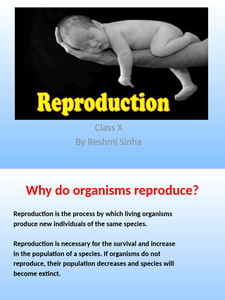 Understanding Organism Reproduction | PDF | Flowers | Reproduction