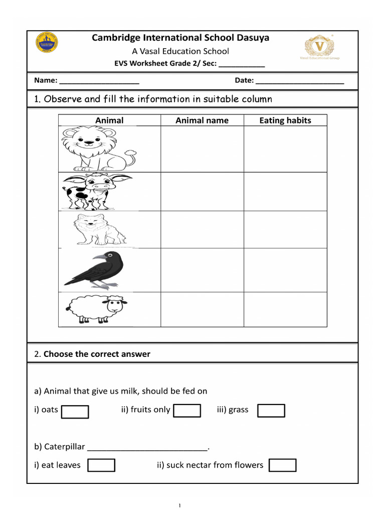 Online EVS Worksheet | PDF