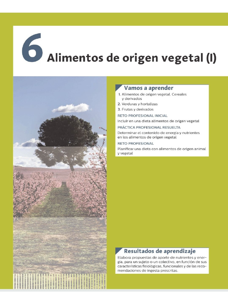 U06 Alimentos de Origen Vegetal (I) | PDF