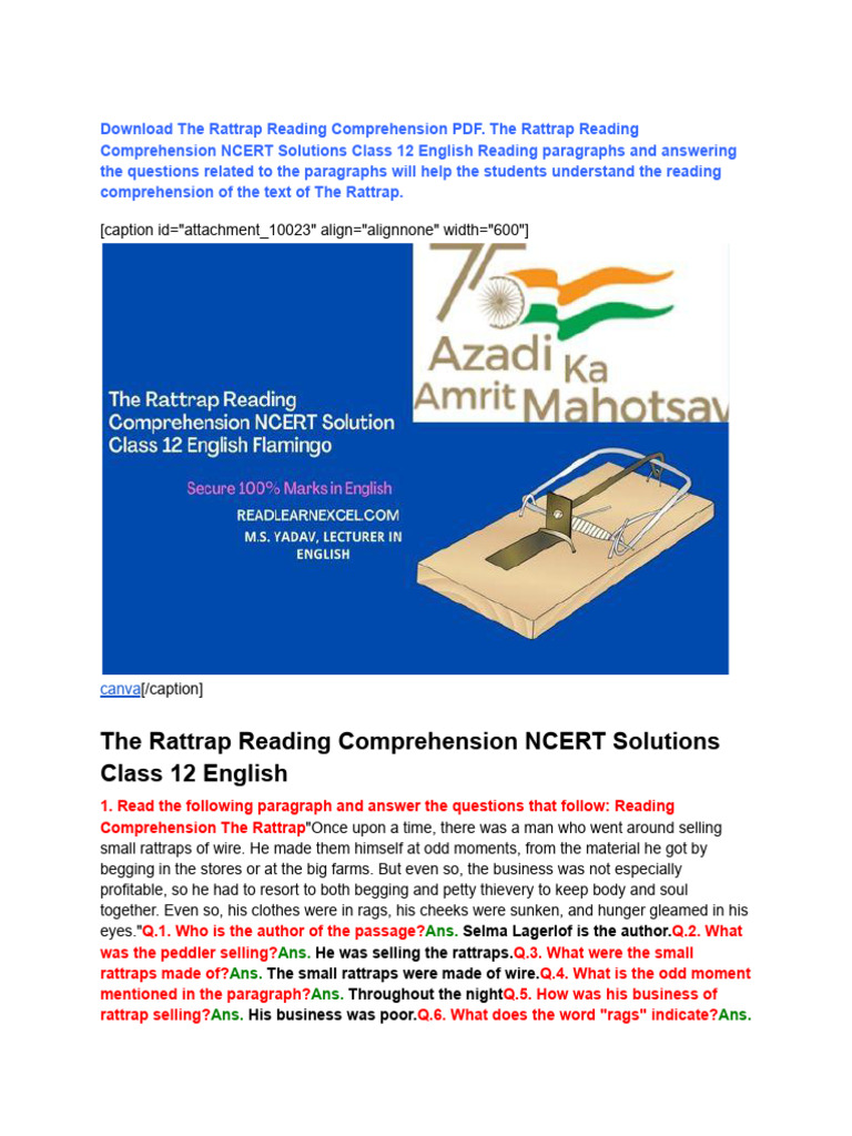 Rattrap Reading Comprehension Guide | PDF