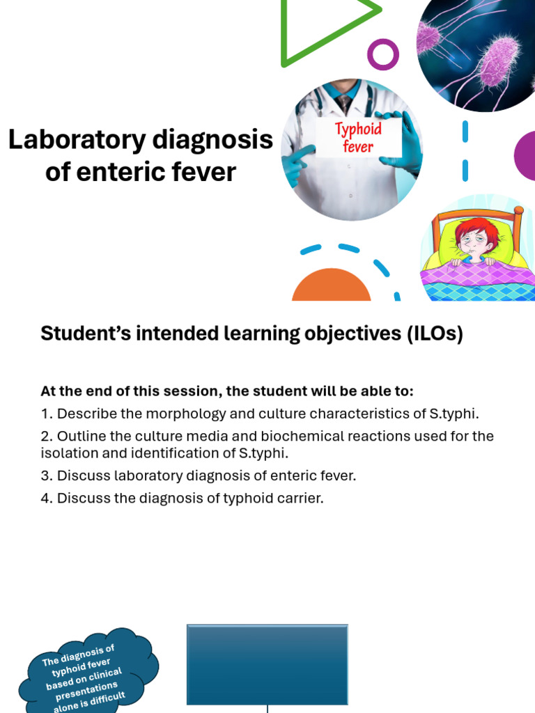 ANU GIT SectionLab D of Enteric Fever 2024 Updated | PDF | Serology ...