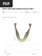 Biology PP3 QS | PDF