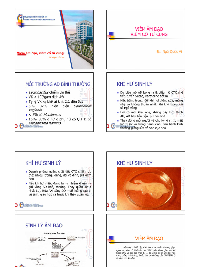 Viem Am Dao CTC 1600 PDF - Gdrive.vip | PDF