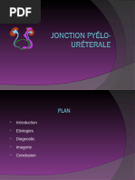 Syndrome de la Jonction Pyelo-Uréterale | PDF | Rein | Spécialités ...