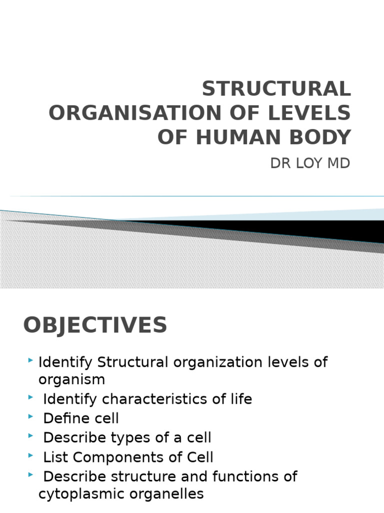 Structural Organisation of Levels of Human Body DR Loy | PDF | Cell ...