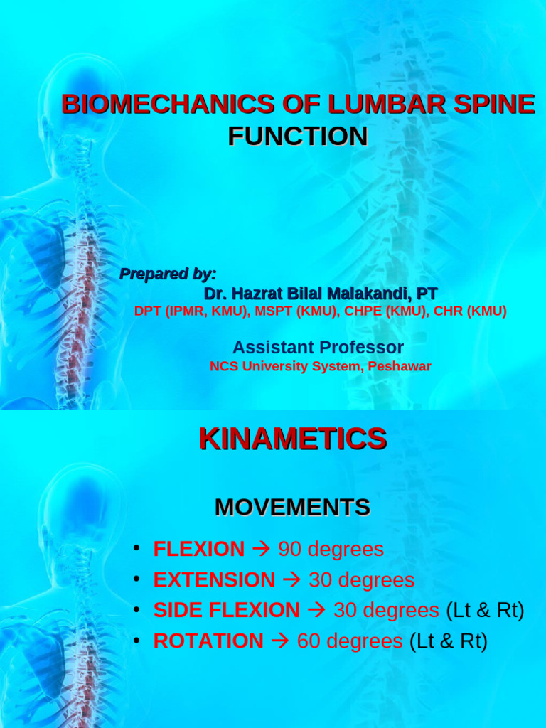Lumbar Spine Biomechanics Overview | PDF | Pelvis | Vertebra