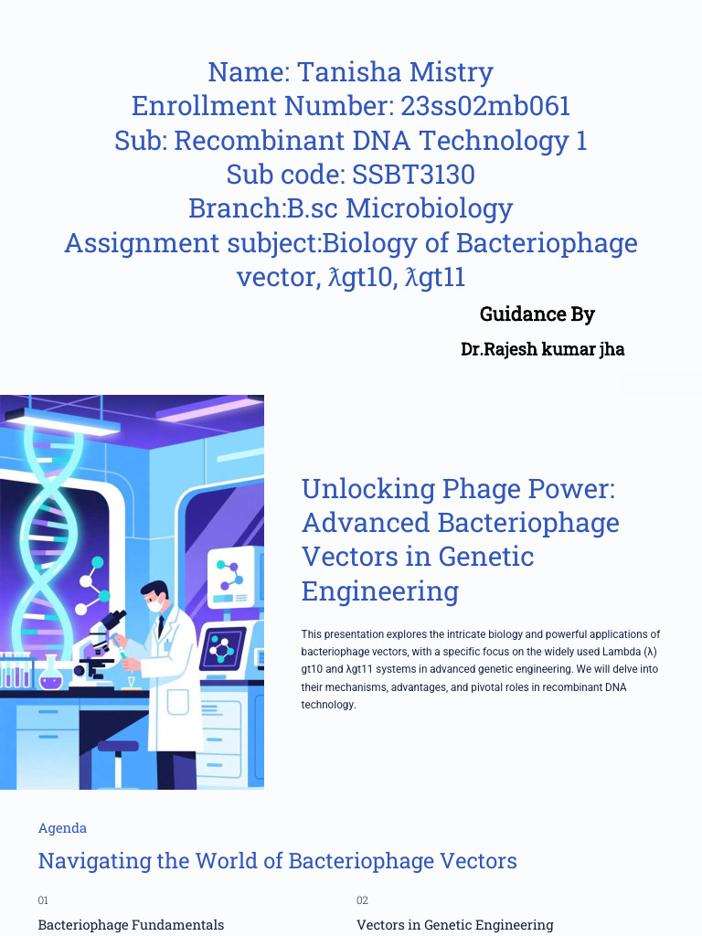 Bacteriophage Vectors in Genetic Engineering | PDF | Bacteriophage ...