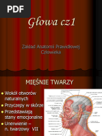 Anatomia Swini Atlas Interaktywny | PDF