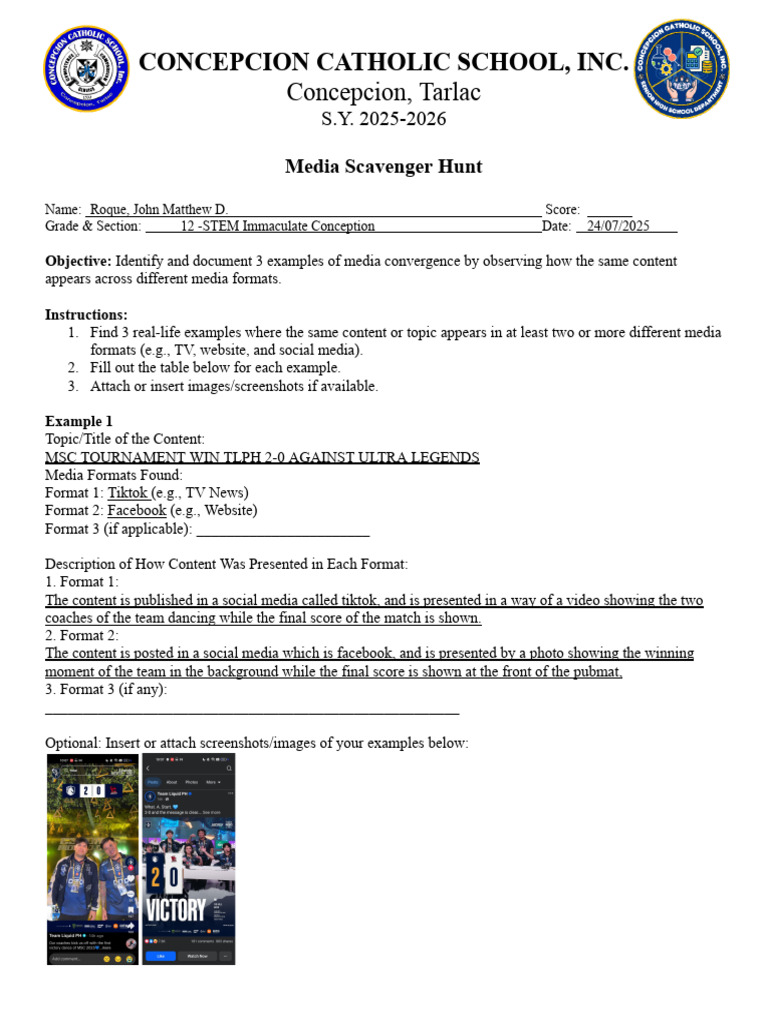 Media Scavenger Hunt Assignment | PDF