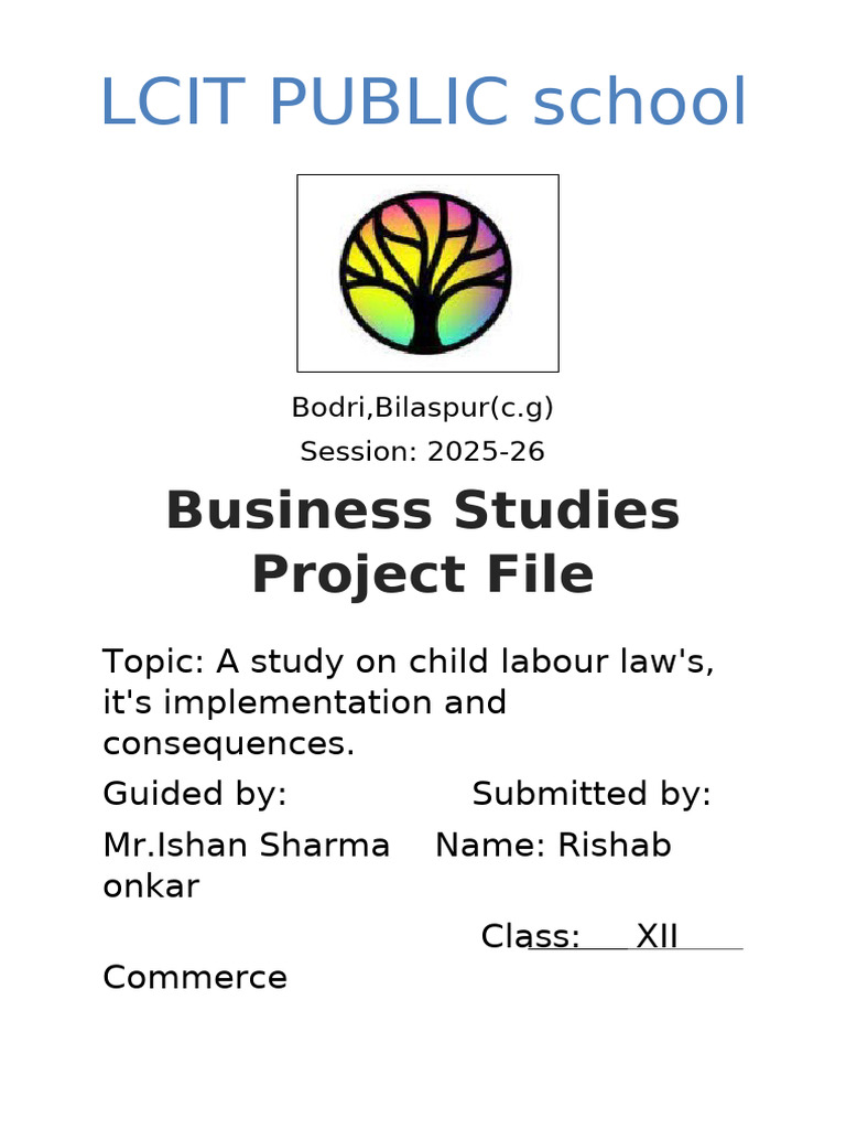 LCIT PUBLIC School: Business Studies Project File | PDF