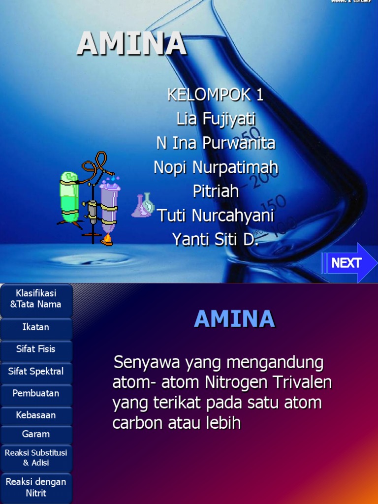 Amina | PDF