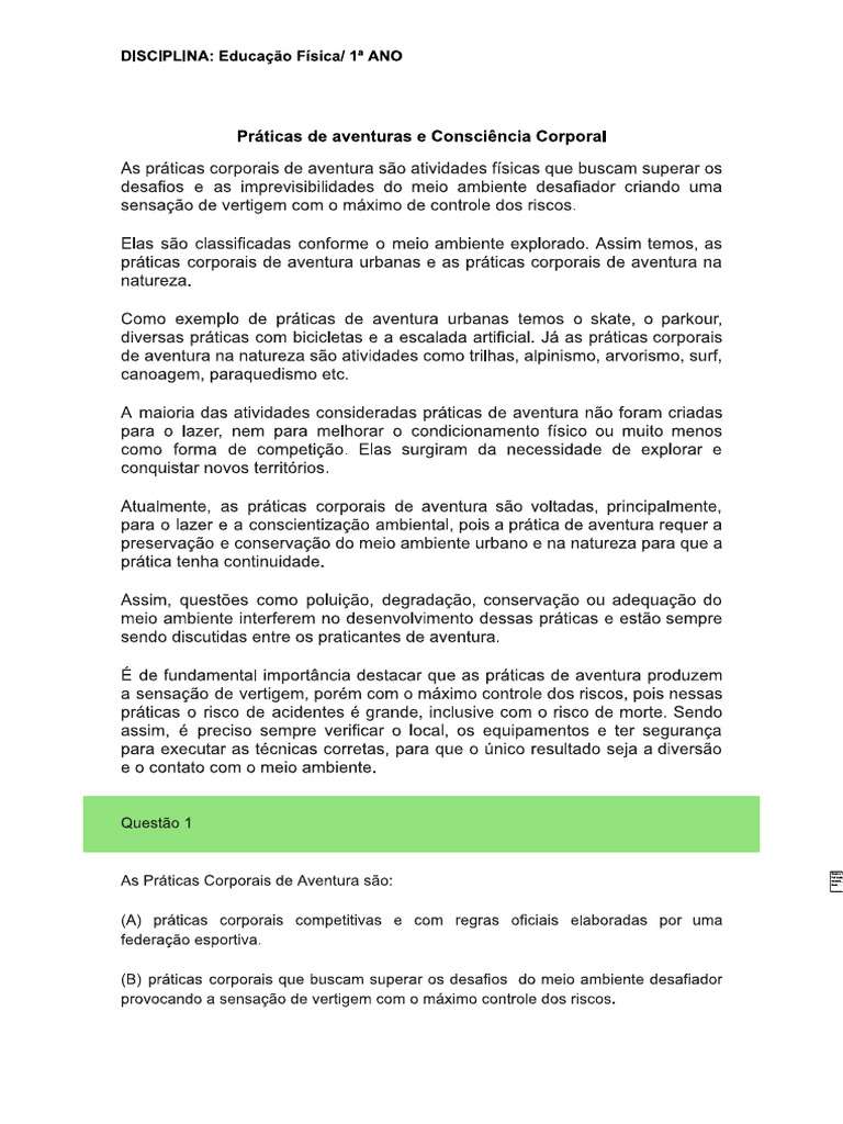 Aula Remota 1º Ano | PDF