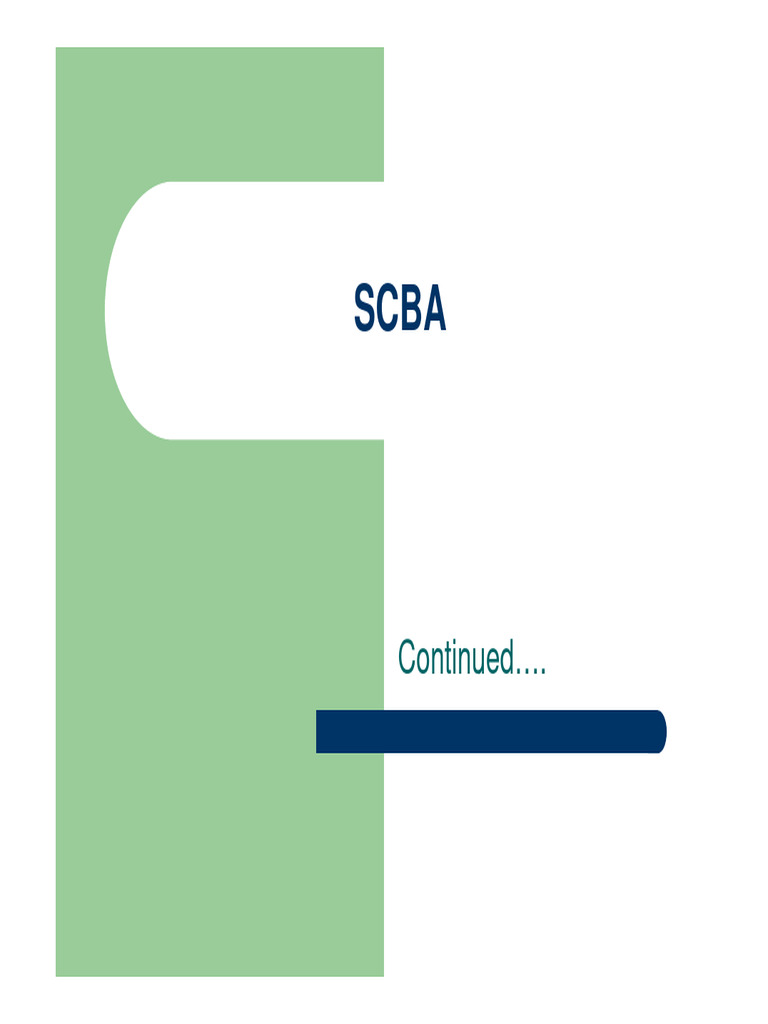 SCBA Approaches: UNIDO vs. Little & Mirrlees | PDF | Monopoly | Income