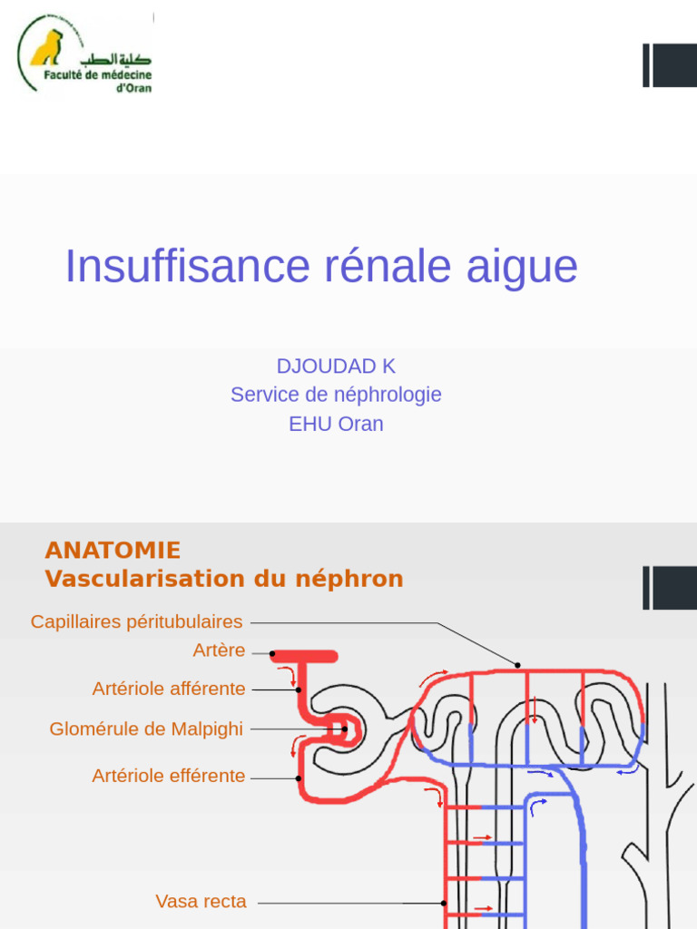Insuffisance Rénale Aigue: Djoudad K Service de Néphrologie EHU Oran ...