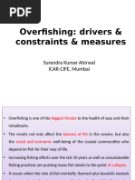 Geography 01 Fishing | PDF