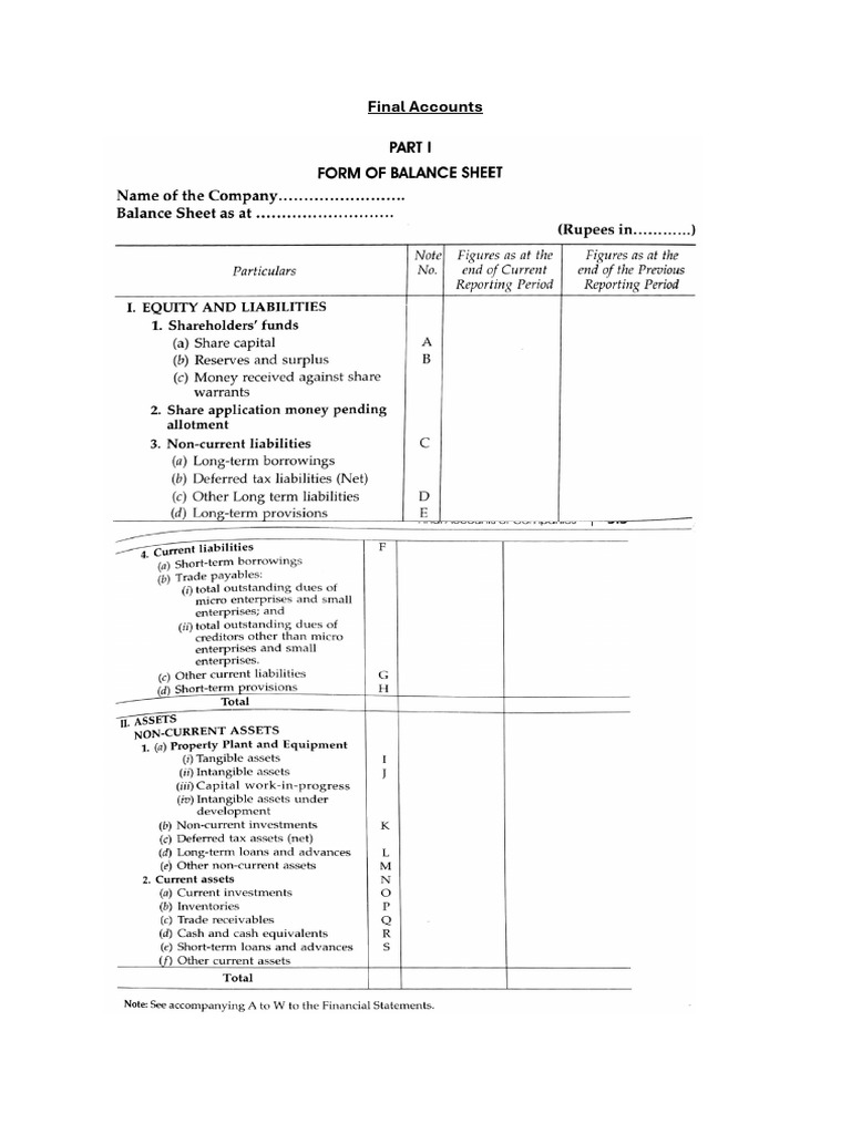 Amba Ltd. Final Accounts Overview | PDF