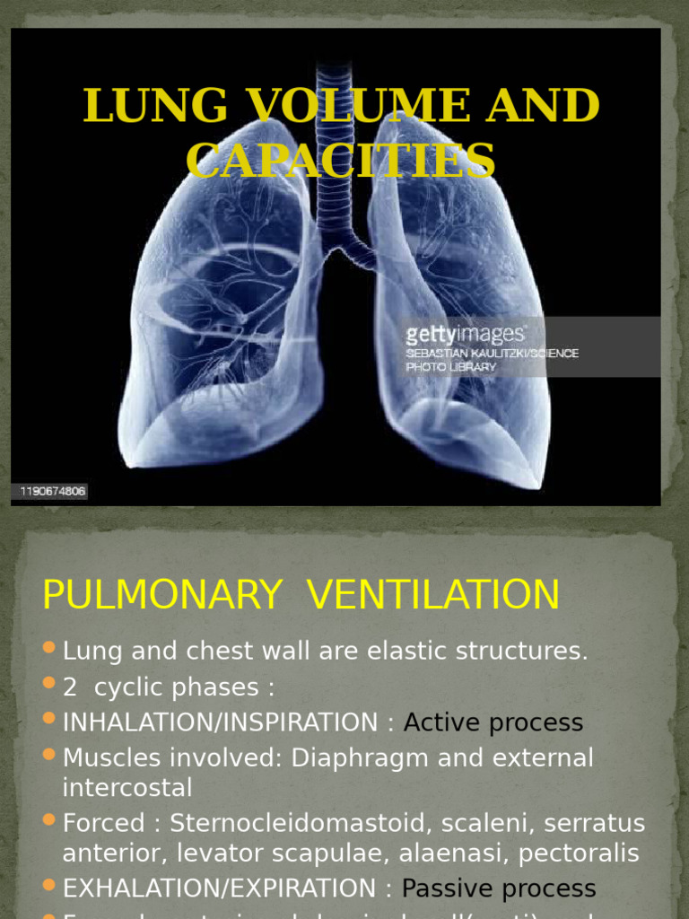 Lung Volume and Capacities | PDF | Exhalation | Lung