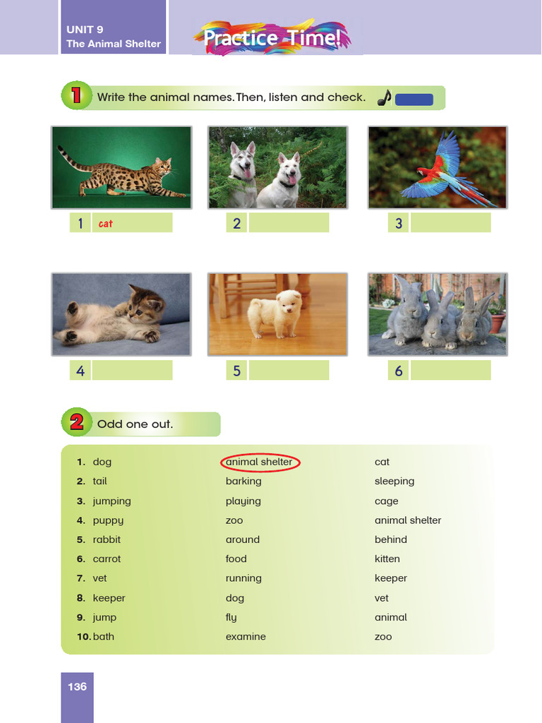 Homework - The Animal Shelter | PDF | Chess Openings | Chess Theory
