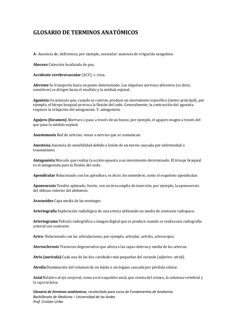 Glosario Anatómico BME | PDF | Vena | Abdomen