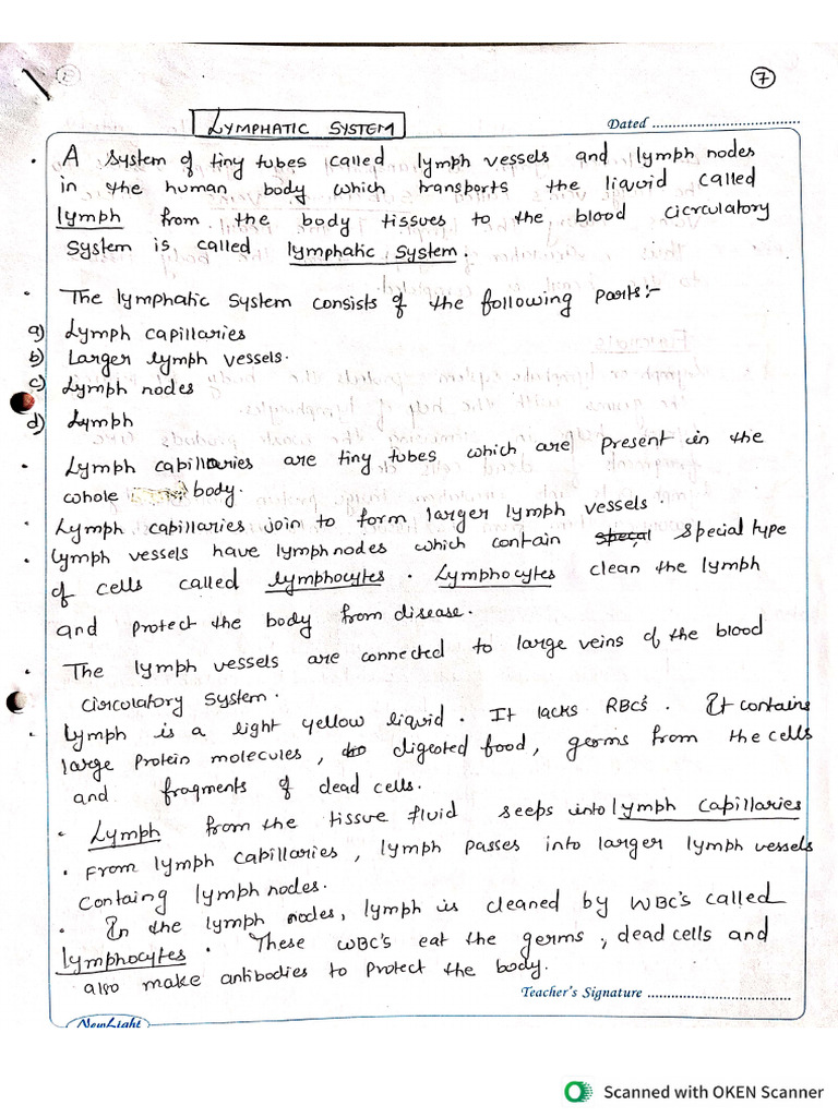 Lymphatic System Class 10 | PDF