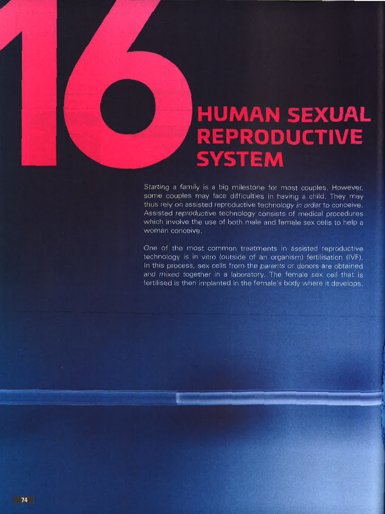 Chapter 16 Human Sexual Reproduction System | PDF