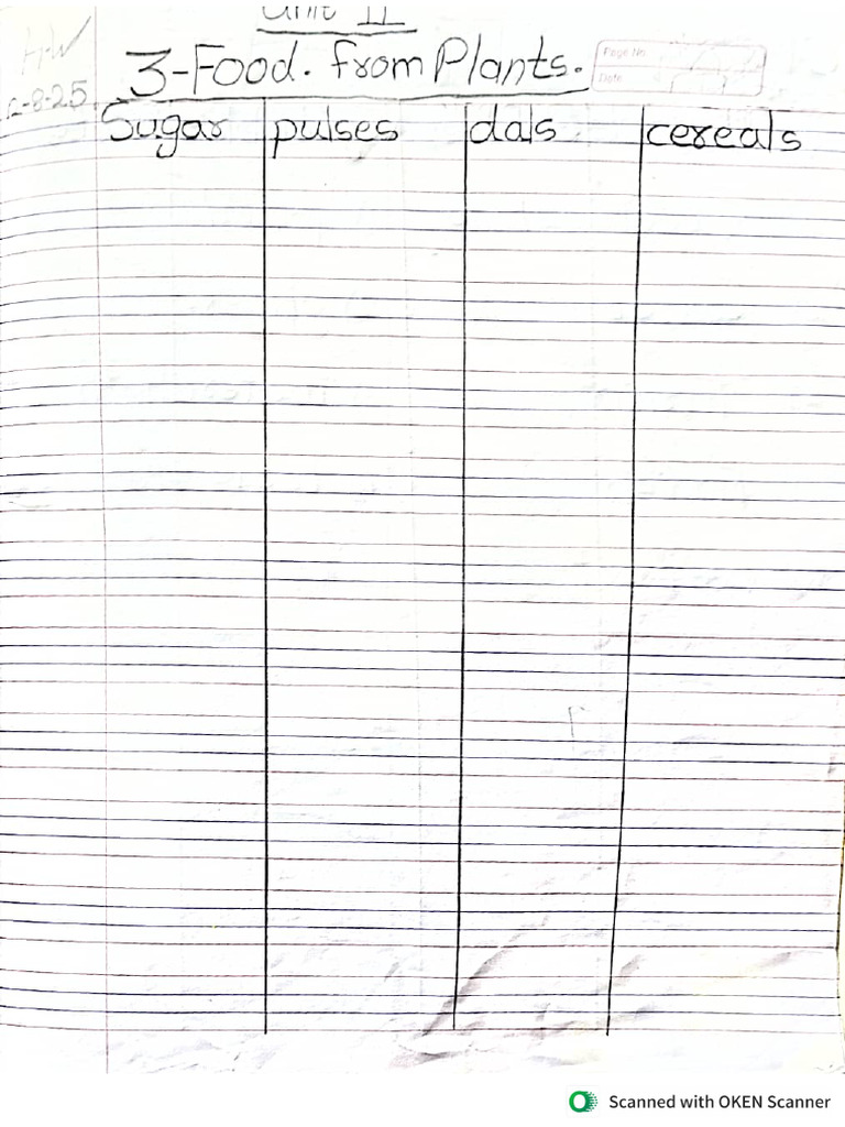 EVS Lesson No.3 Food From Plants. | PDF