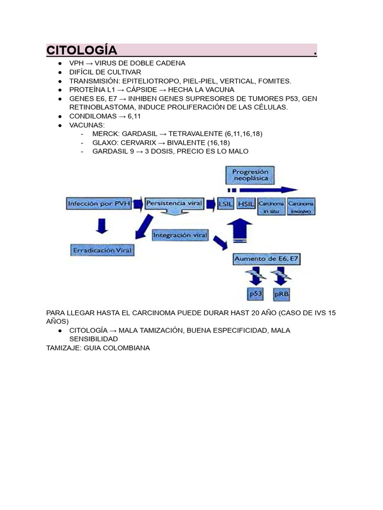 Citología VPH | PDF
