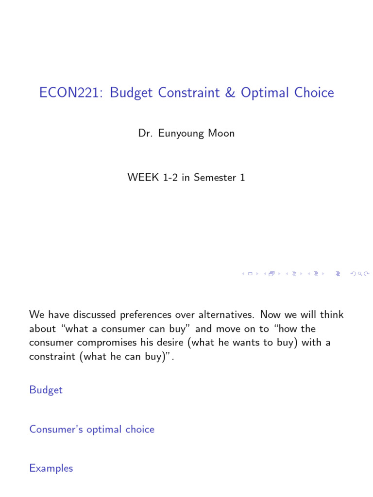 Budget Constraints & Consumer Choices | PDF | Utility | Microeconomics