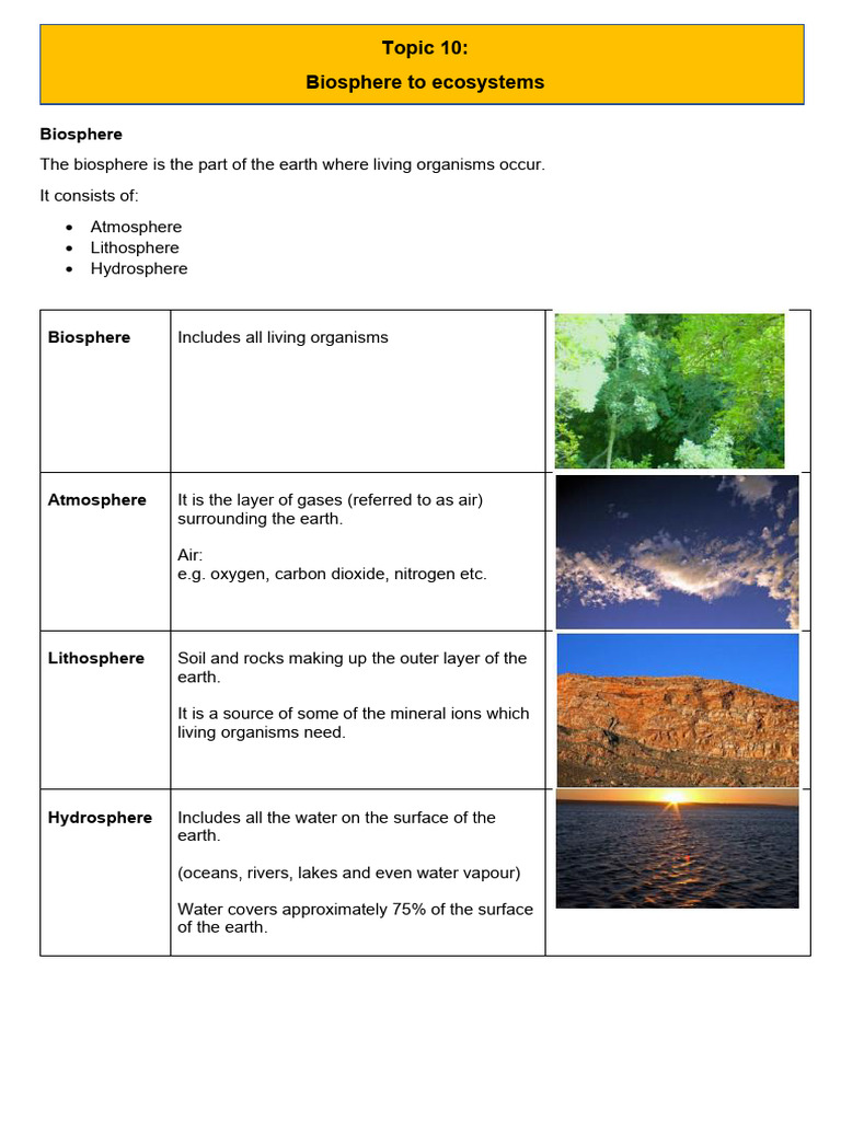 Biomes and Ecosystems Overview | PDF | Soil | Ecosystem