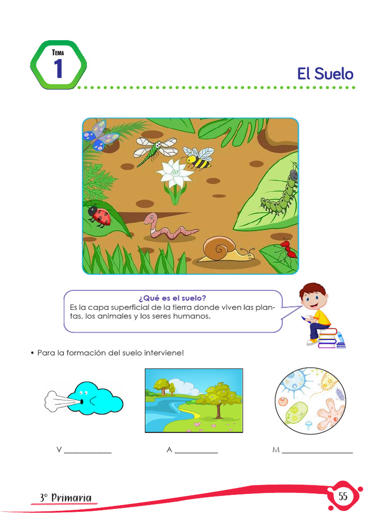 3ro Prim Iii Bim - Quimica | PDF | Roca (geología) | Suelo