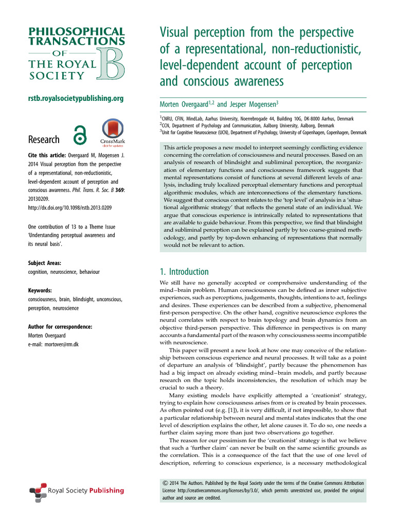 Visual Perception From The Perspective of A Repres | PDF ...
